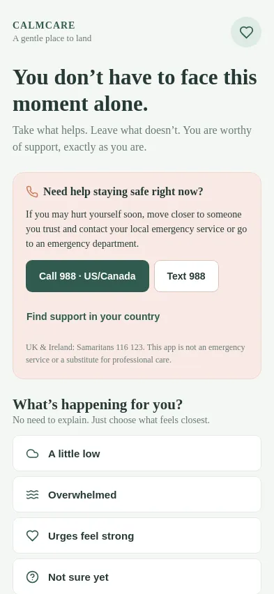 CalmCare Companion