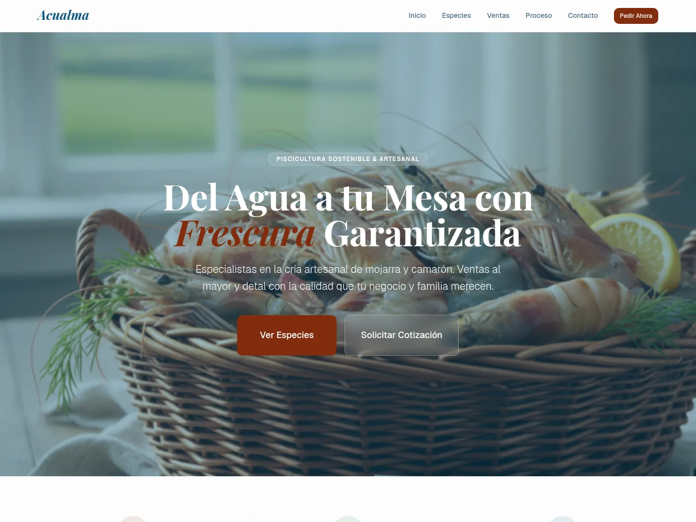 Acualma Web