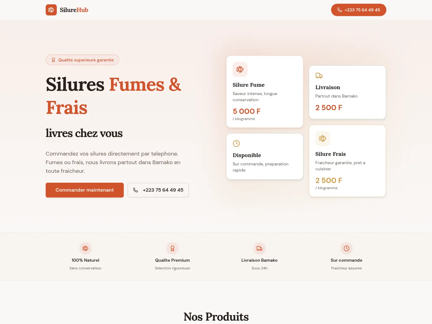 Silure Sales Hub