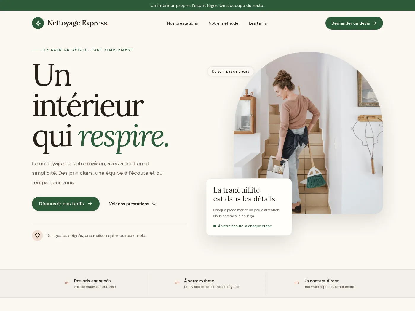Nettoyage Express Web
