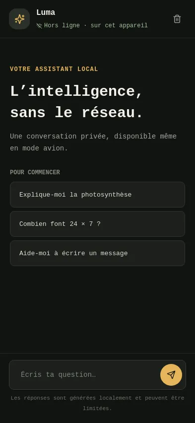 Offline AI Assistant
