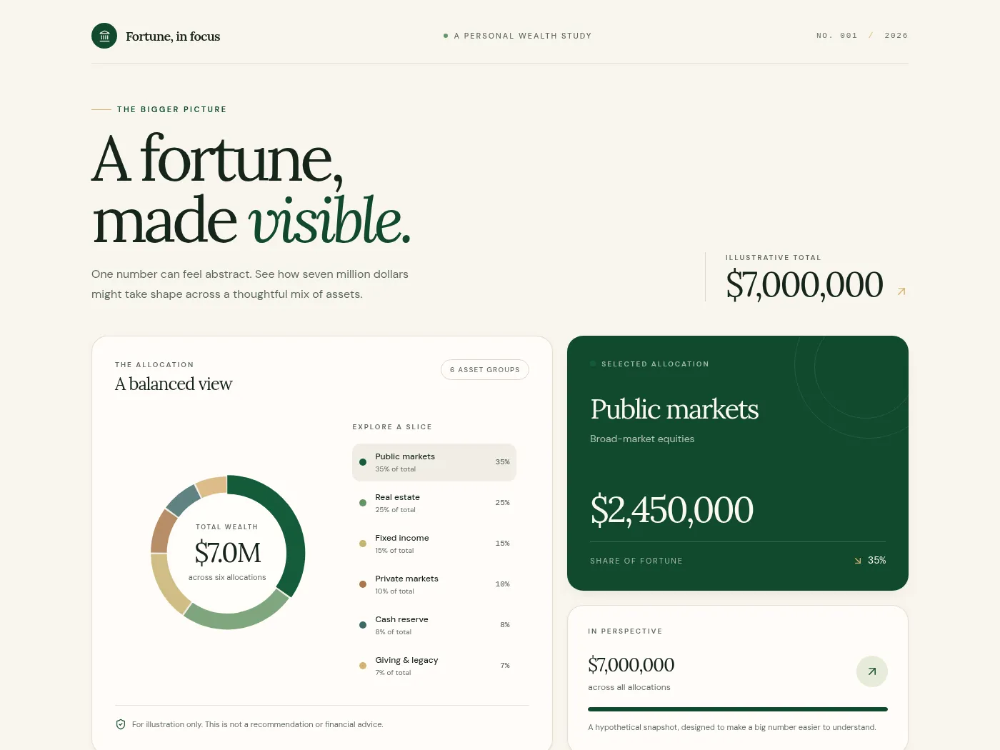 Wealth Visualizer