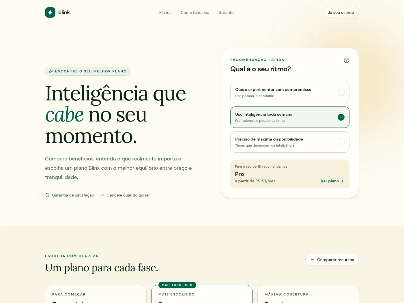 Blink Plan Finder