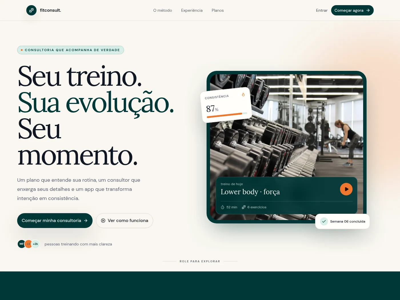 FitConsult Pro SaaS