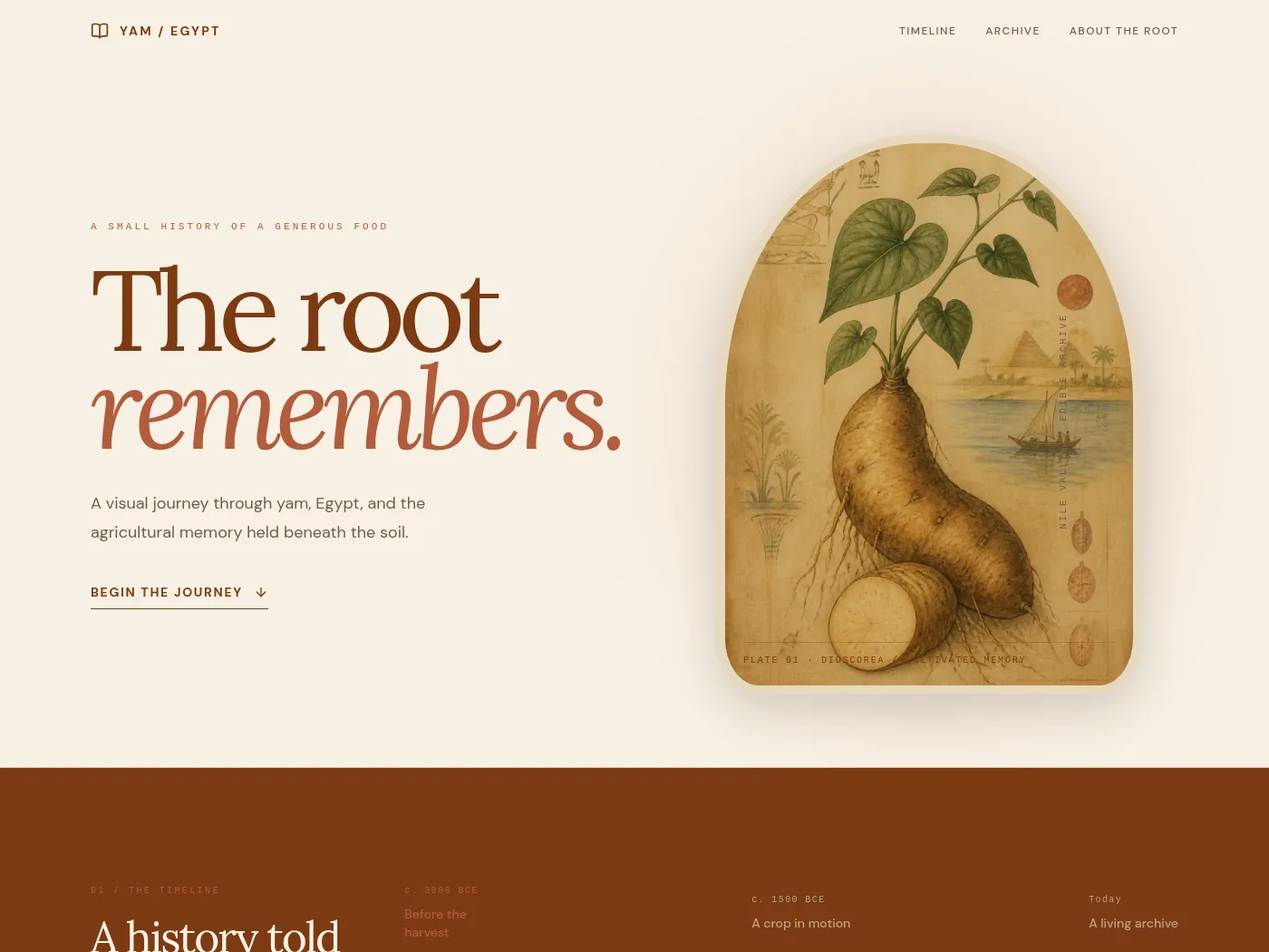 Yam Egypt Explorer