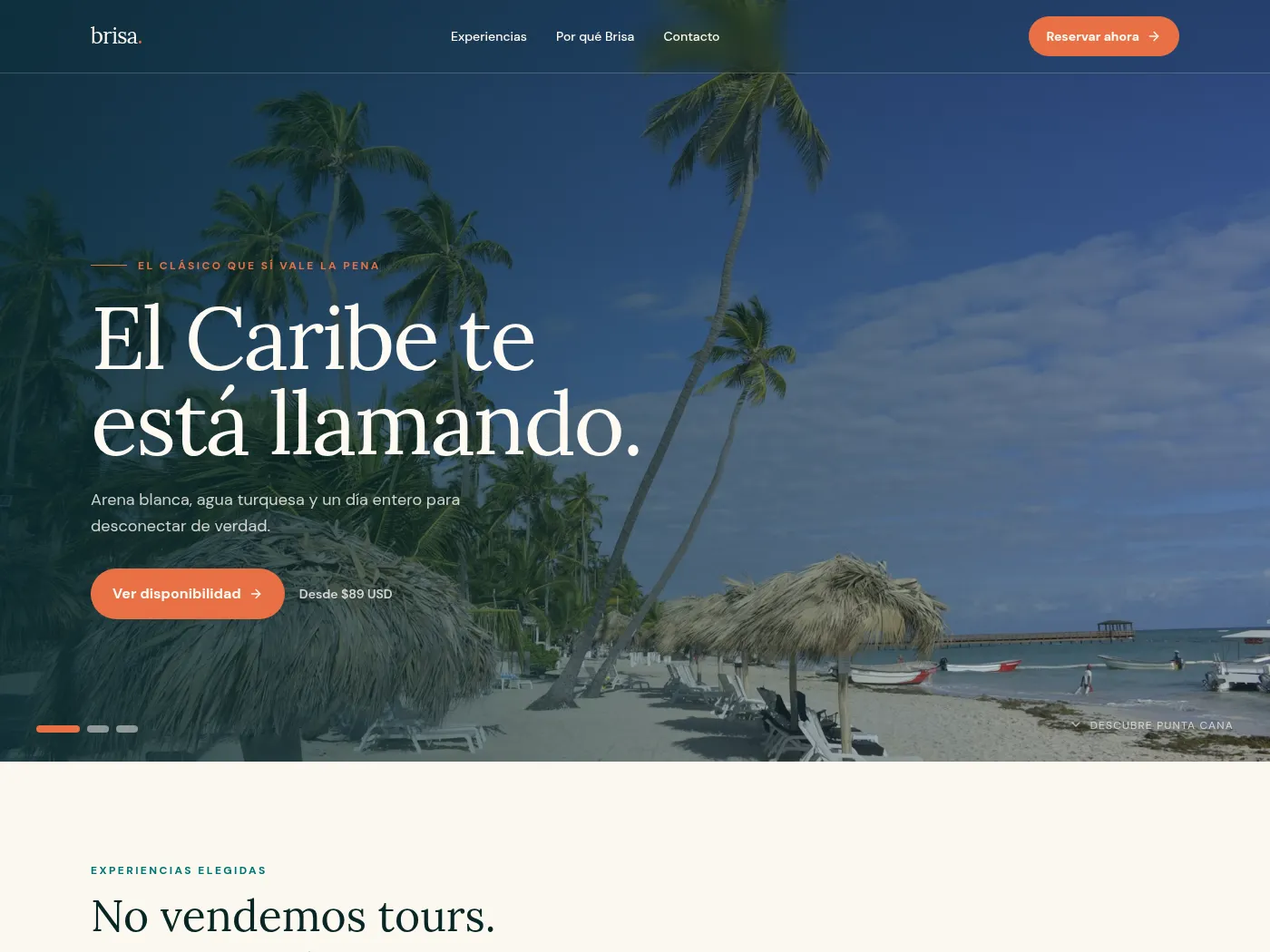 Punta Cana Tours Site