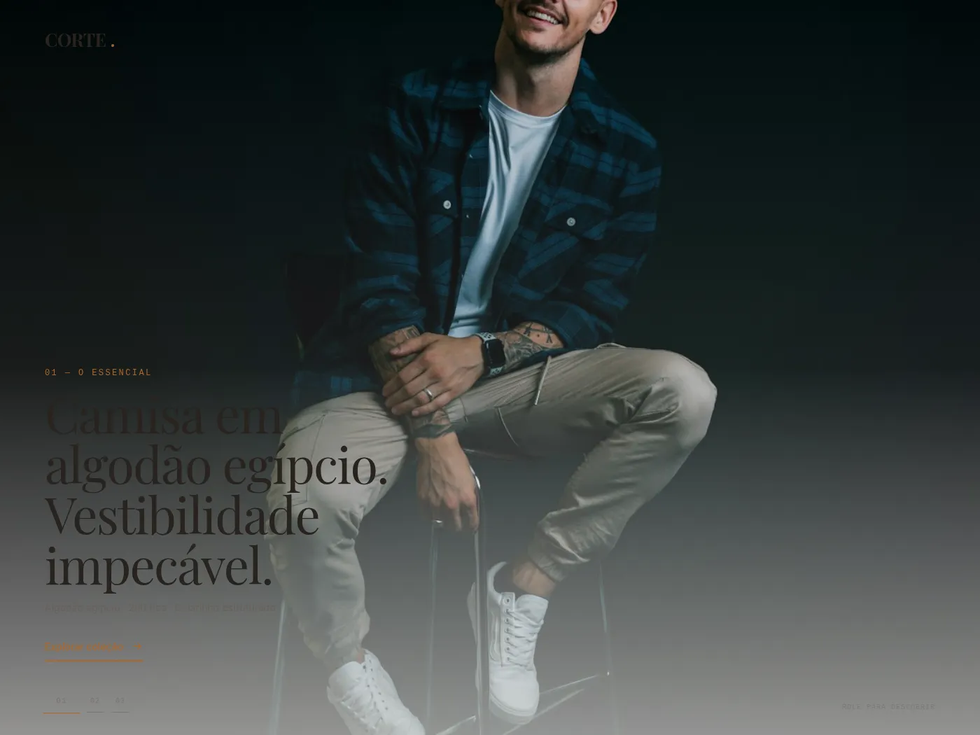 Moda Masculina Pro Landing