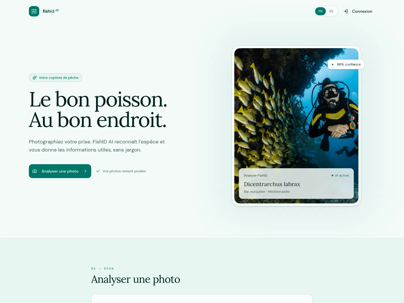 FishID AI France & Spain