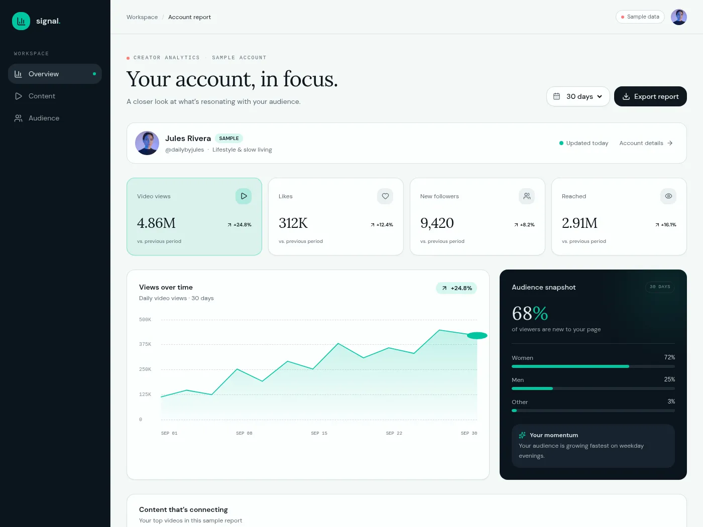 TikTok Insight Hub