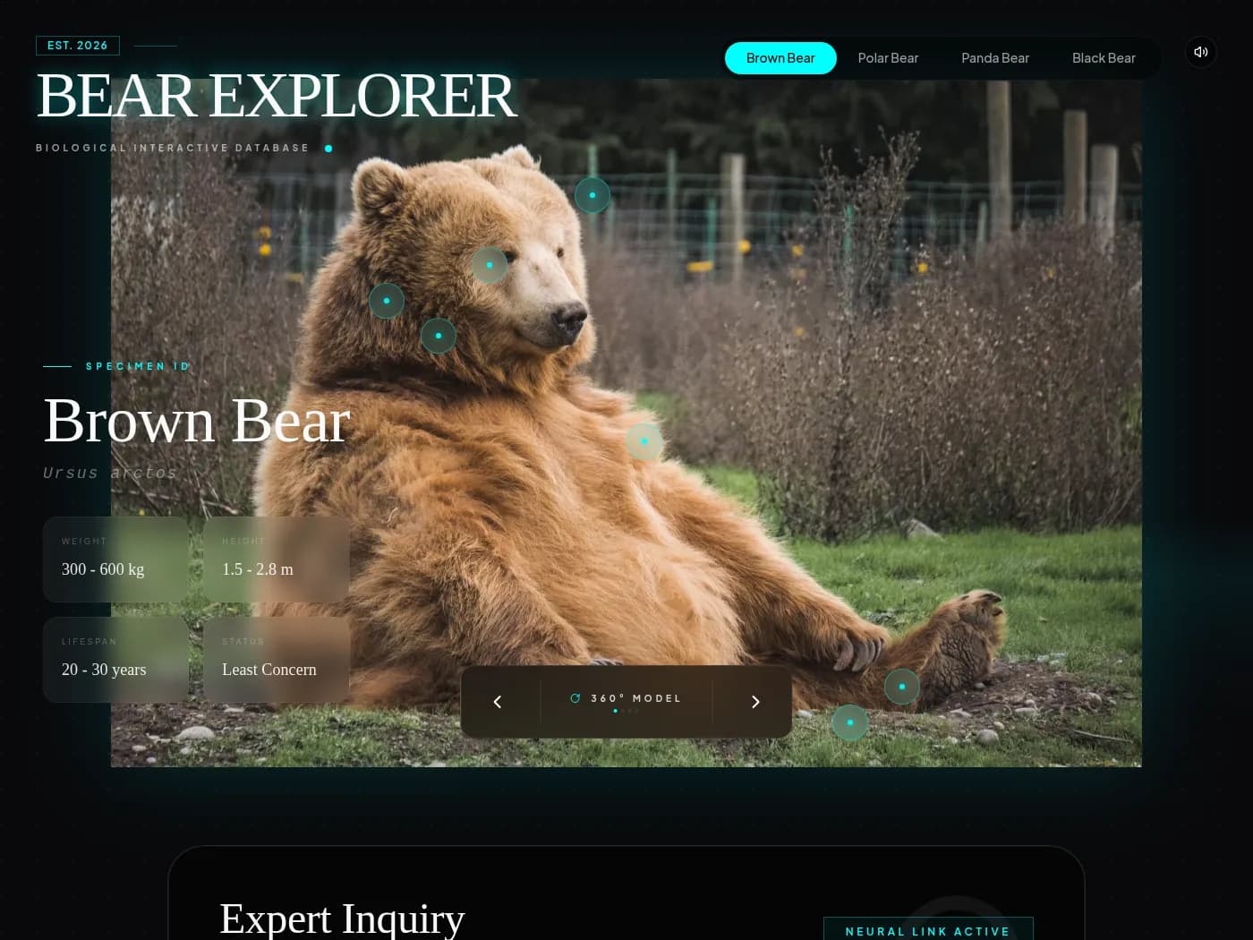 Bear Explorer
