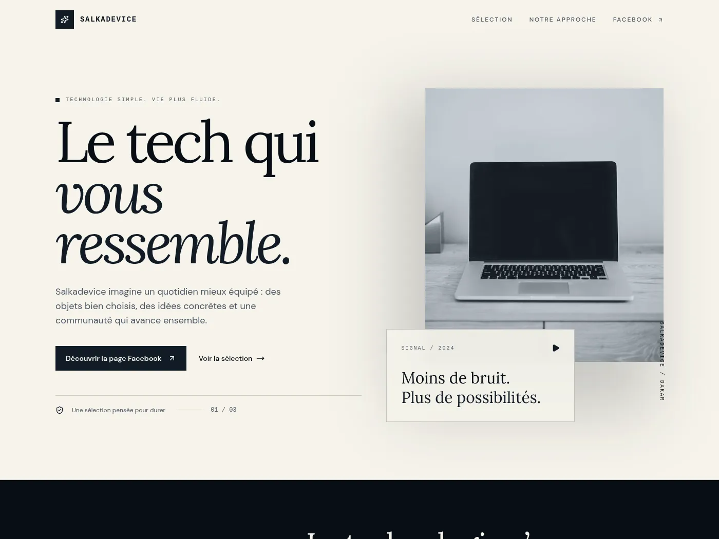 Salkadevice Web Presence