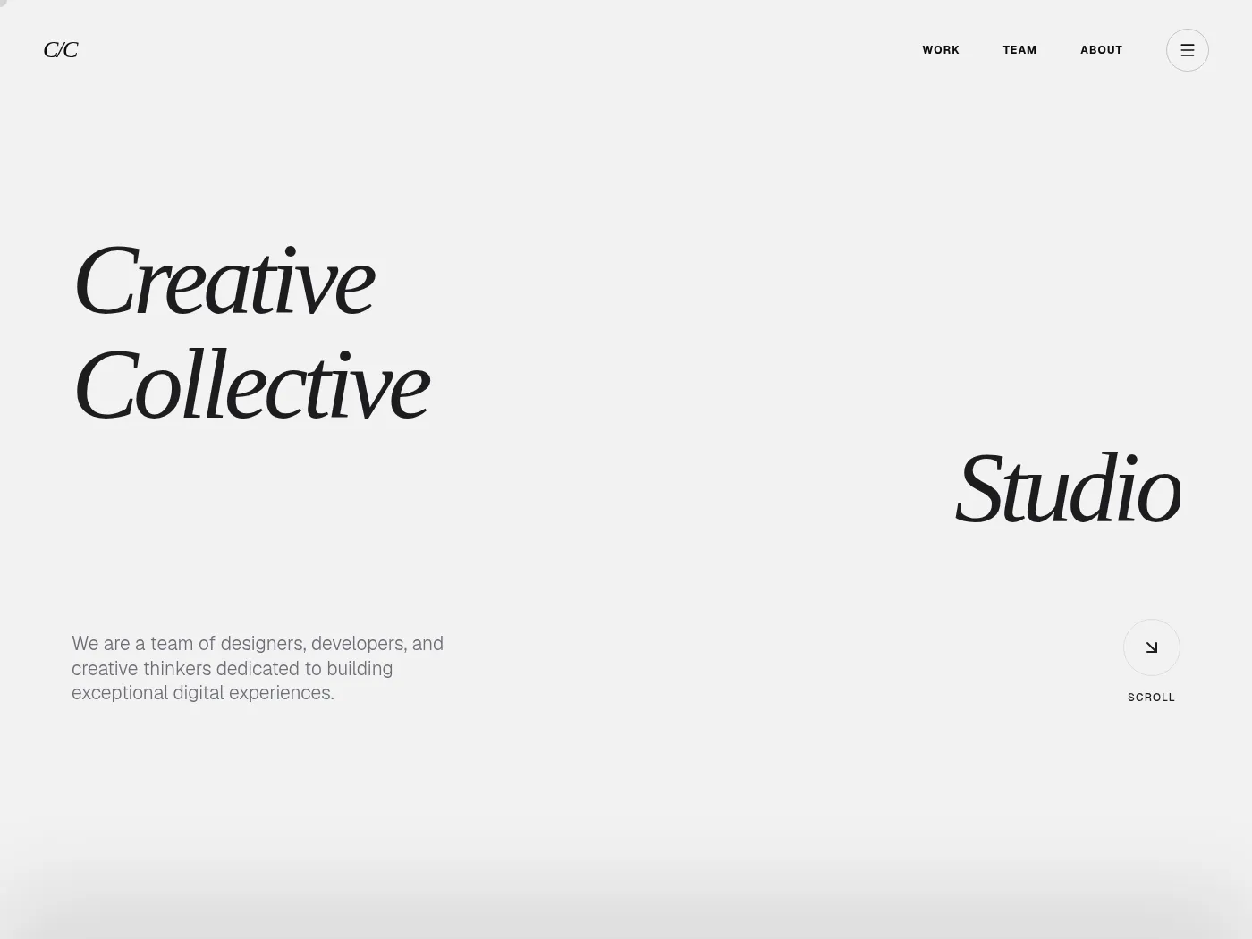 Team Portfolio Showcase