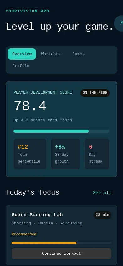 CourtVision Pro