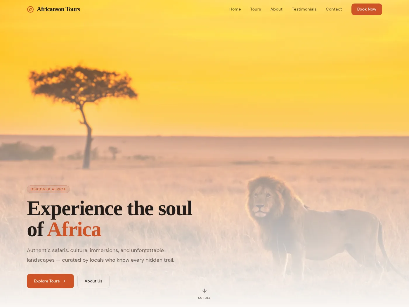 Africanson Tours Site