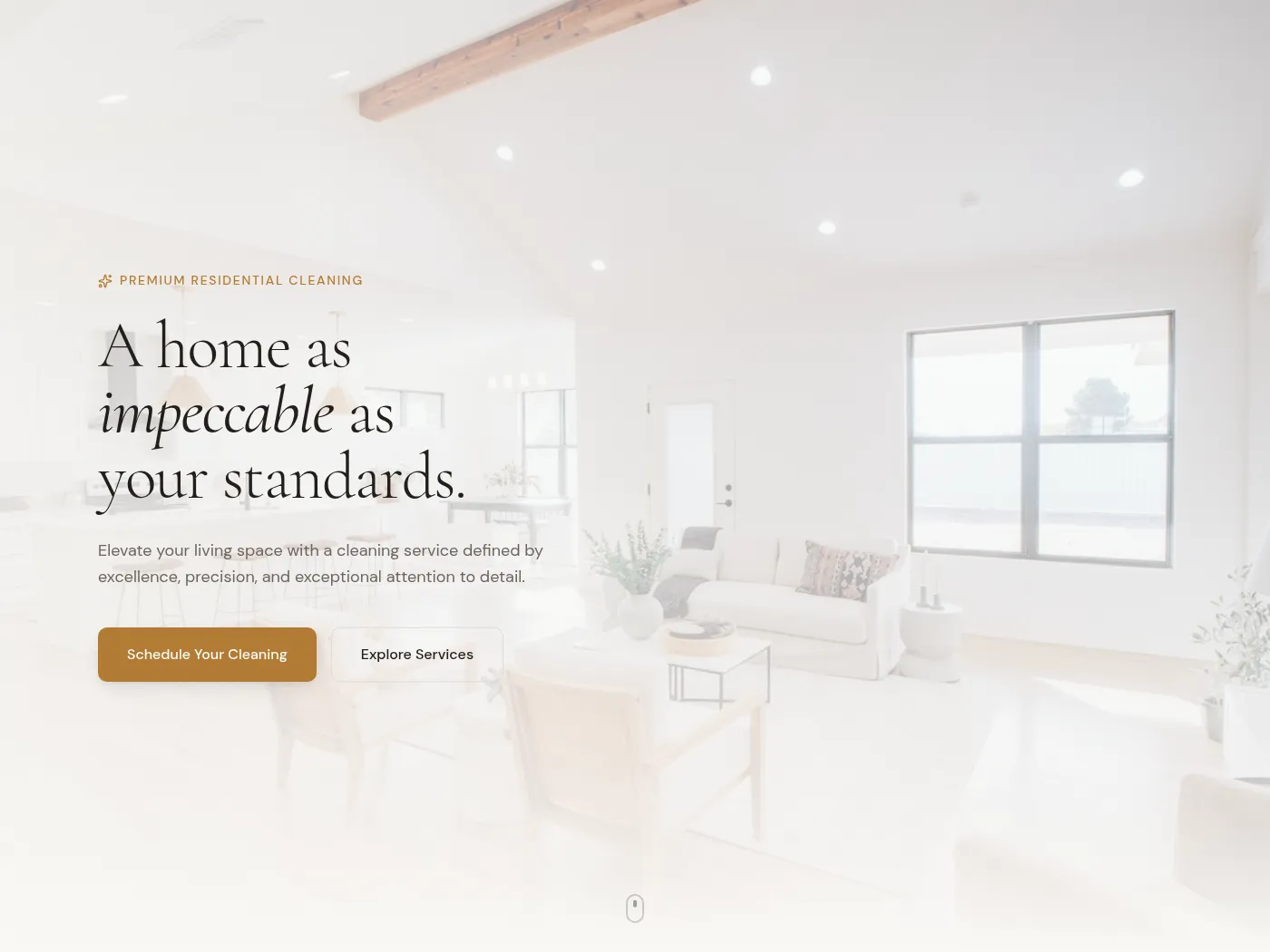 Elite Home Shine