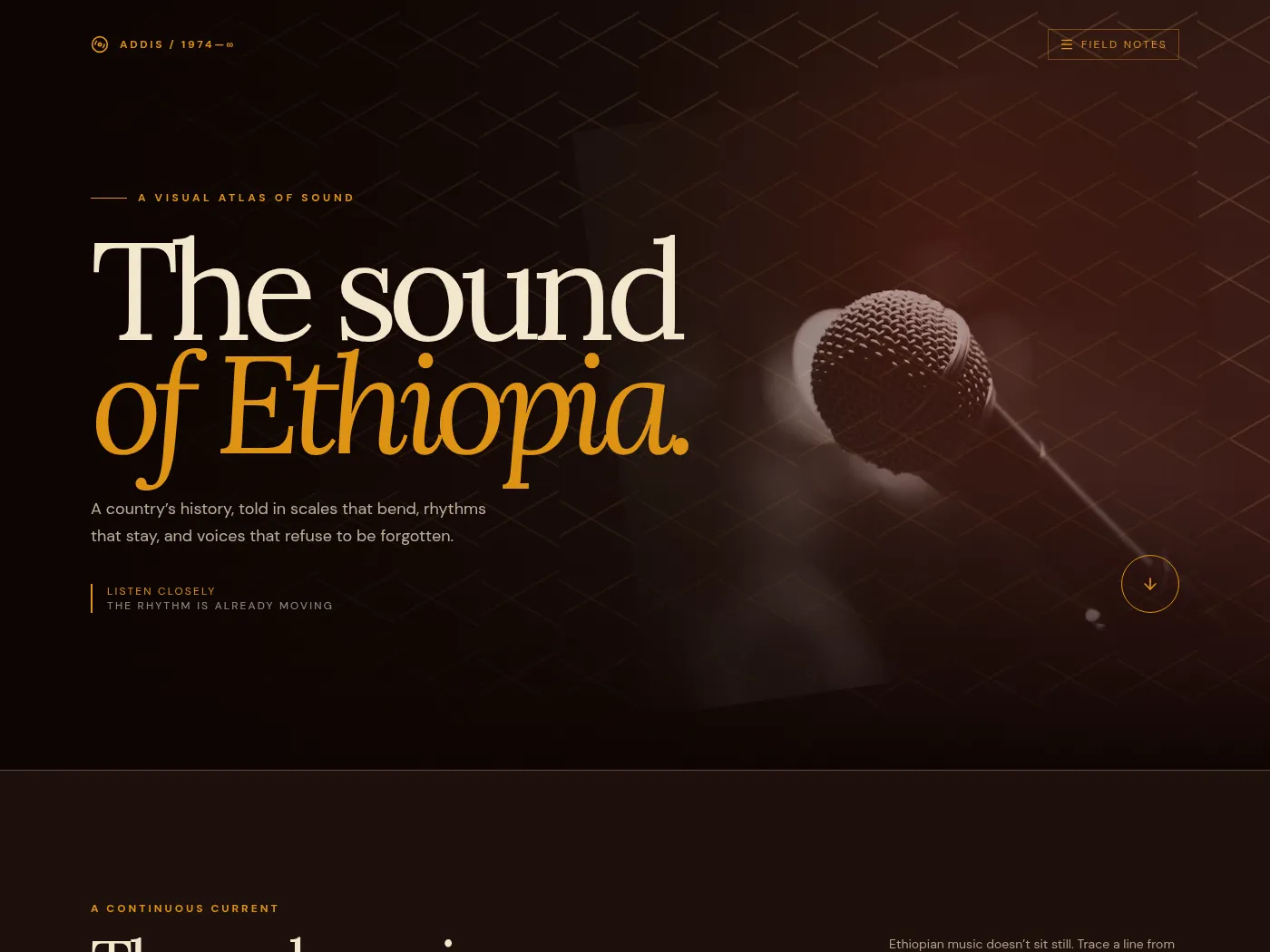 Ethiopian Music Flyer