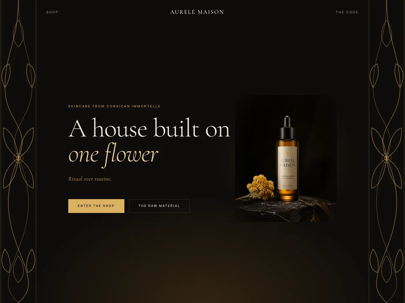 Aurele Maison: the home page of the template