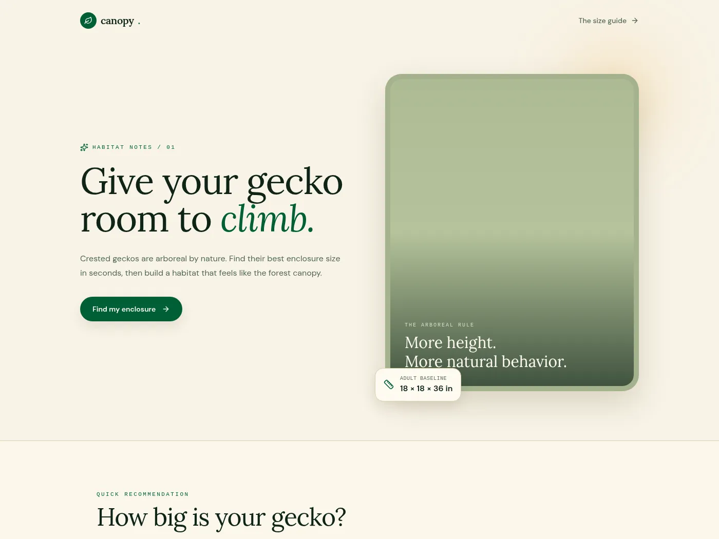 Gecko Enclosure Guide