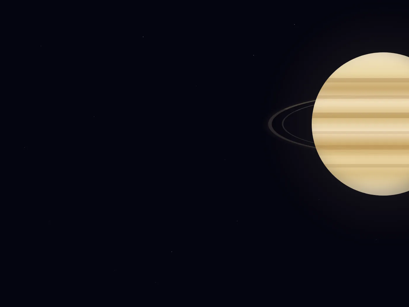 Saturn Receipt Portfolio