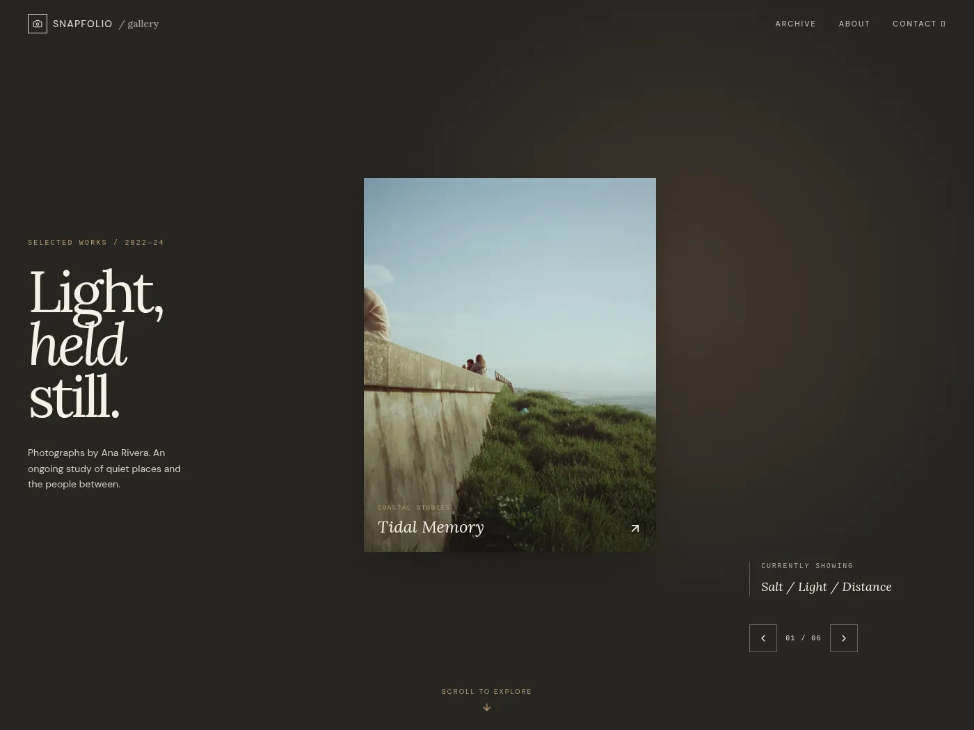 Snapfolio Gallery