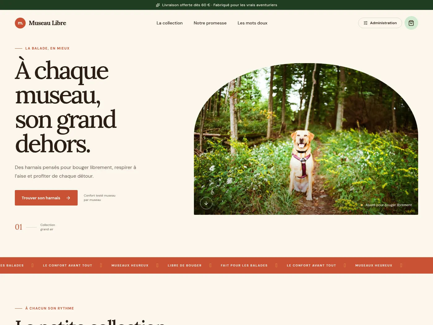 Dog Harness Shop