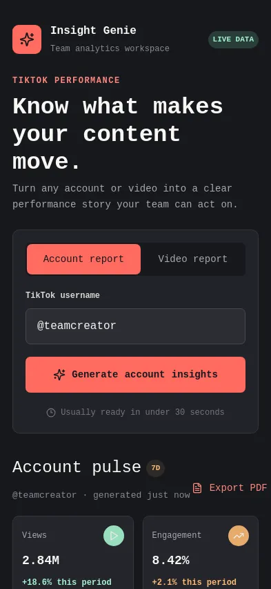 TikTok Insight Genie