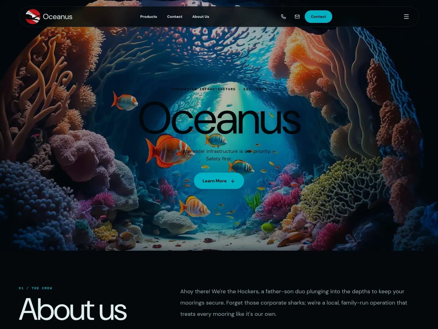 Oceanus Visual Experience Clone