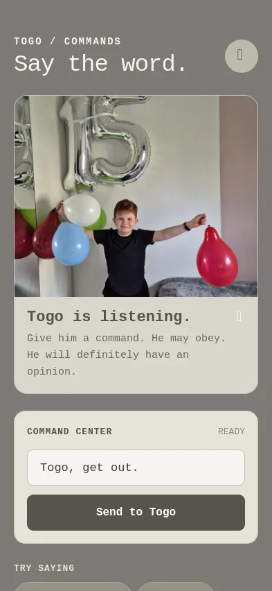 Togo Command Assistant