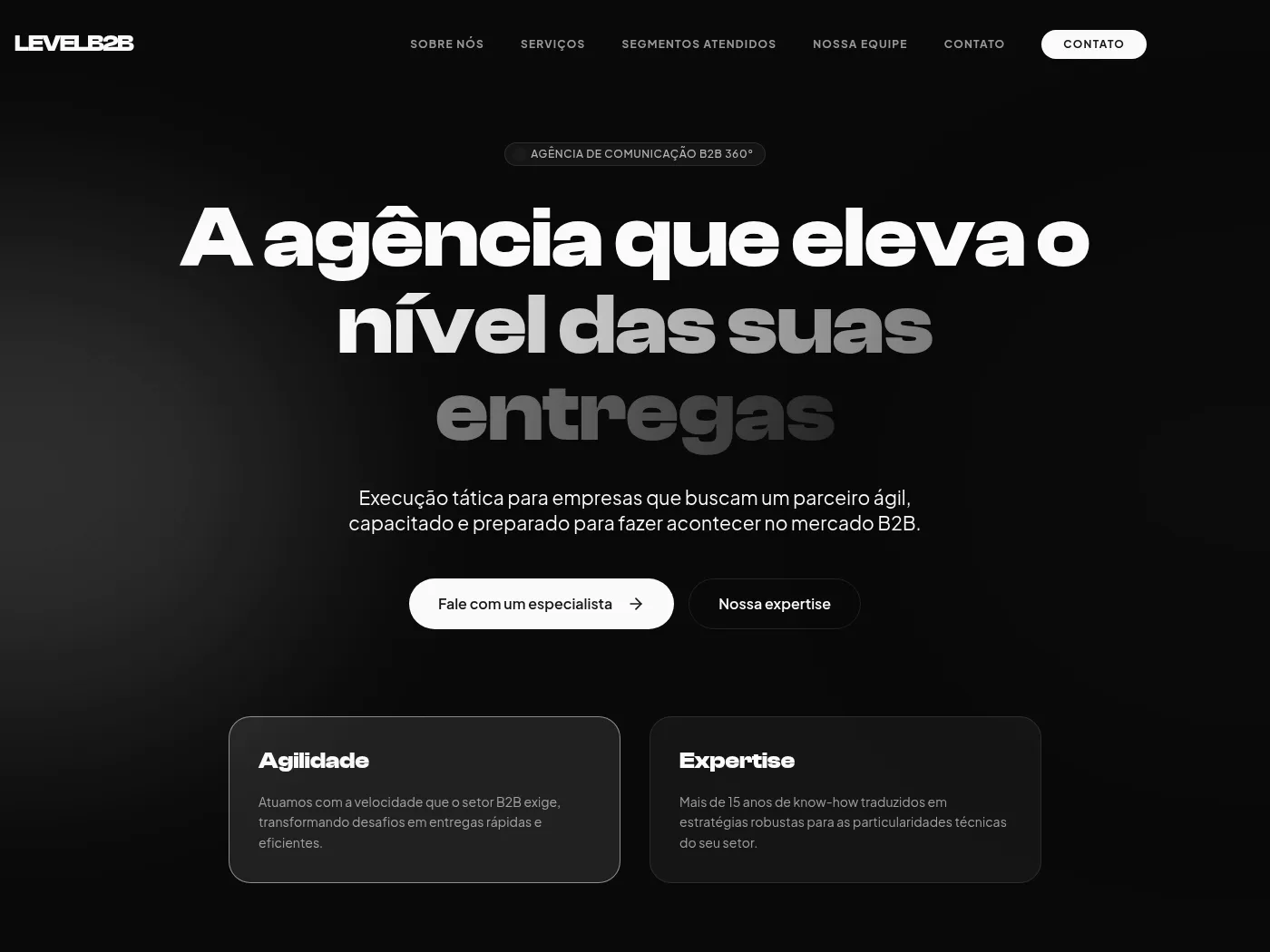 LevelB2B Agency Website