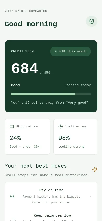 Credit Boost Buddy