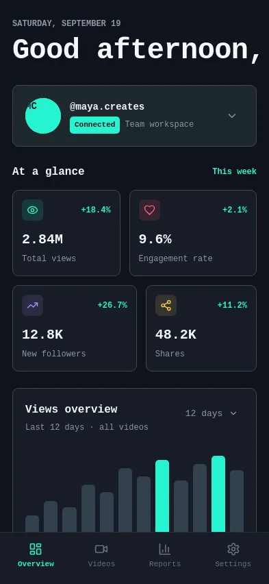 TikTok Insights Mobile