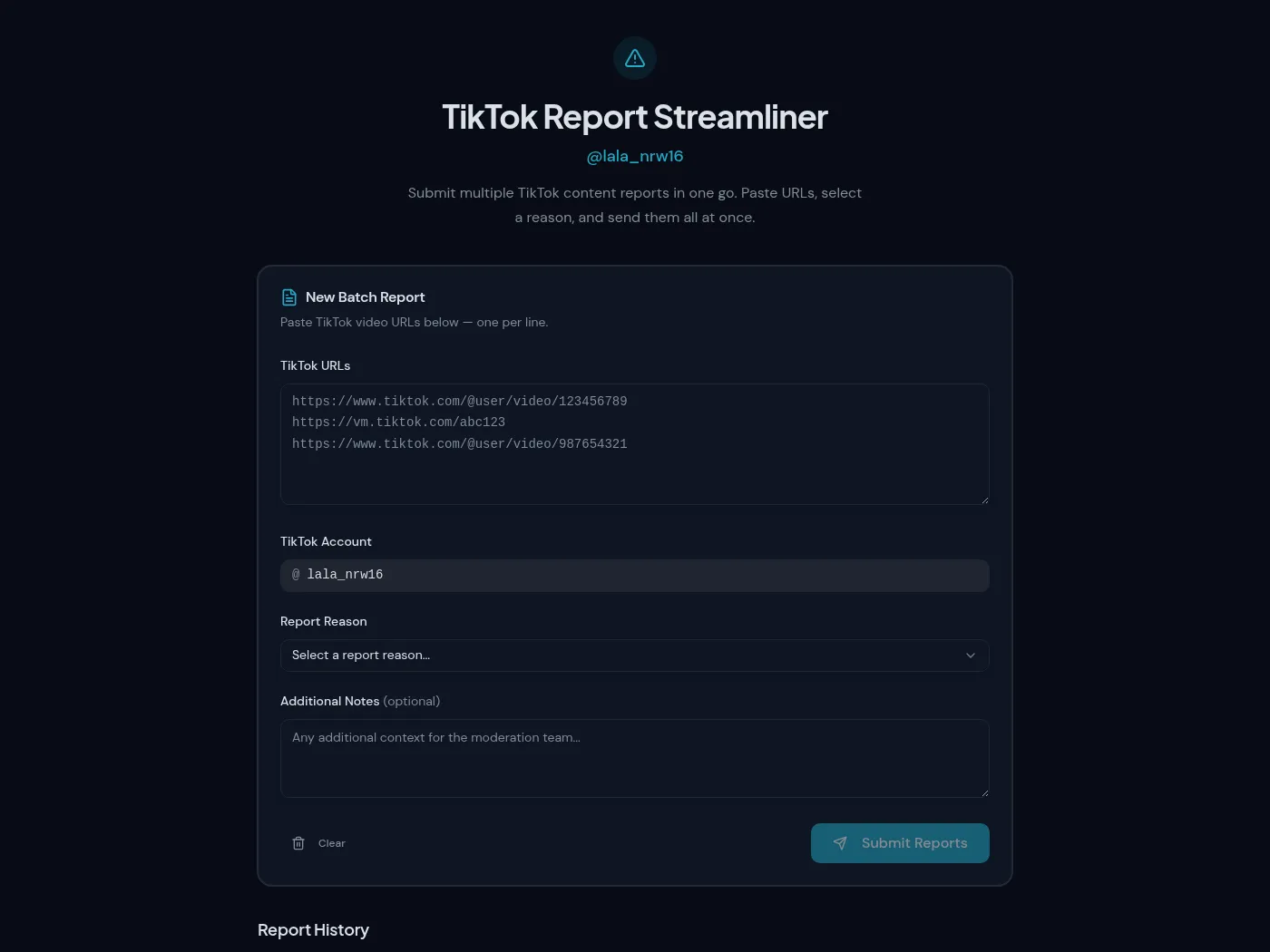 TikTok Report Streamliner