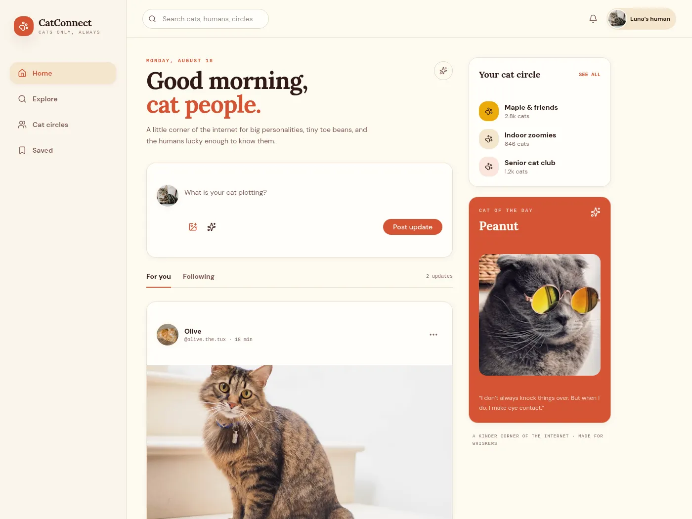 CatConnect