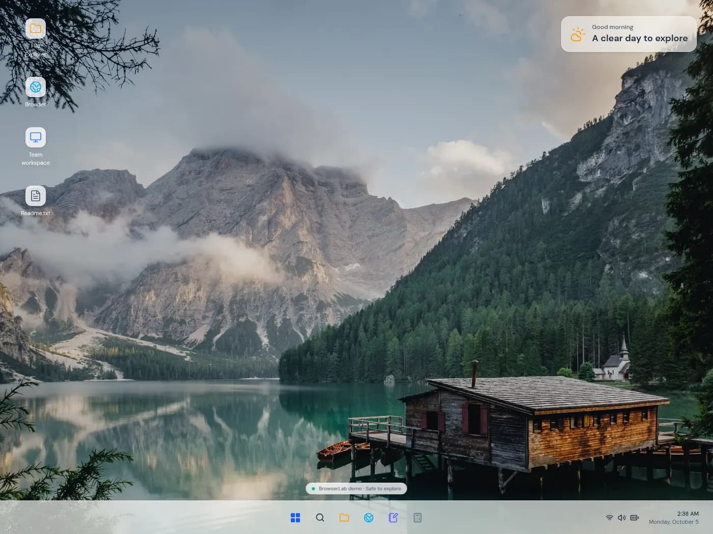 Windows 11 VM BrowserLab