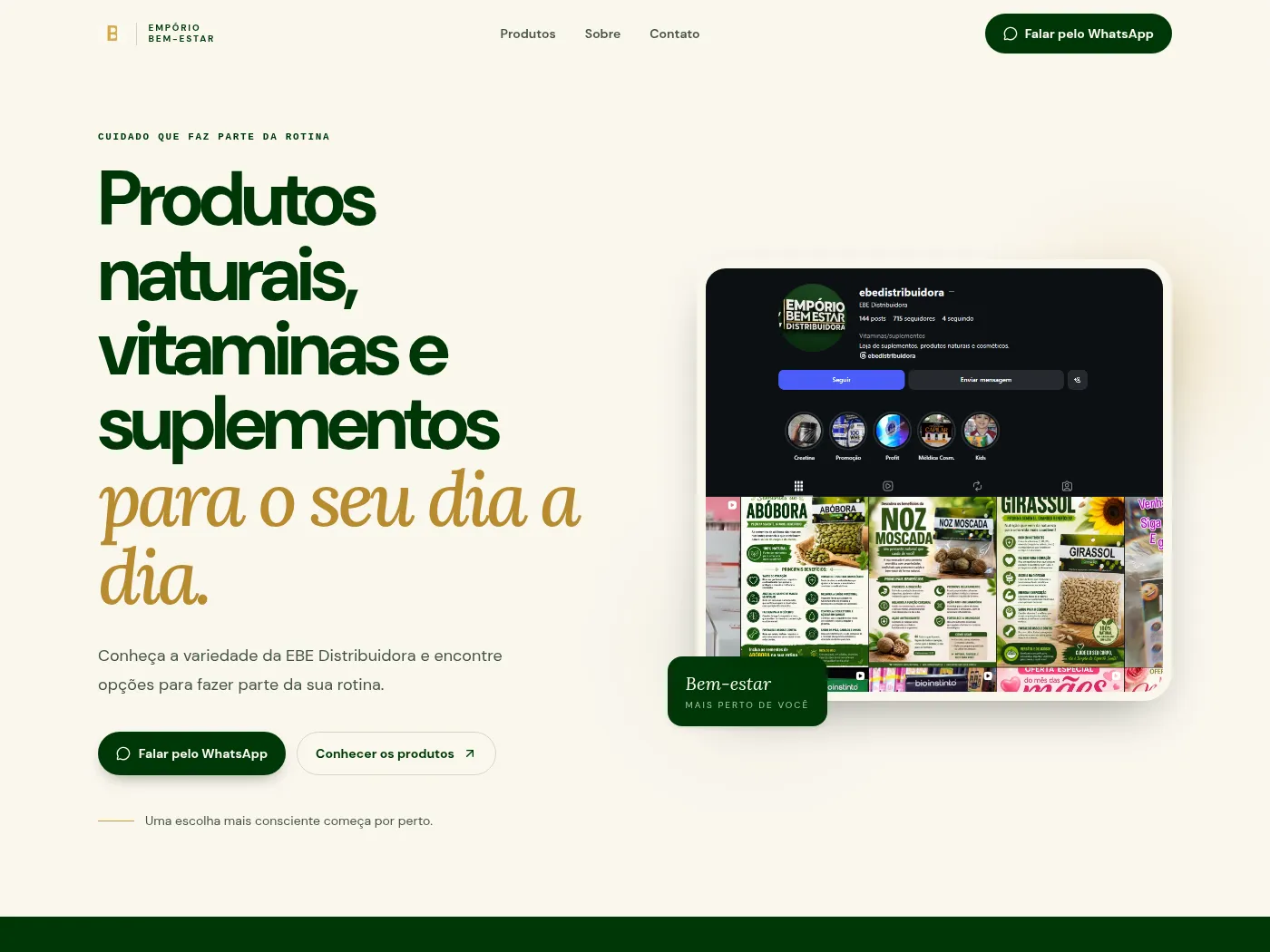 EBE Distribuidora Site