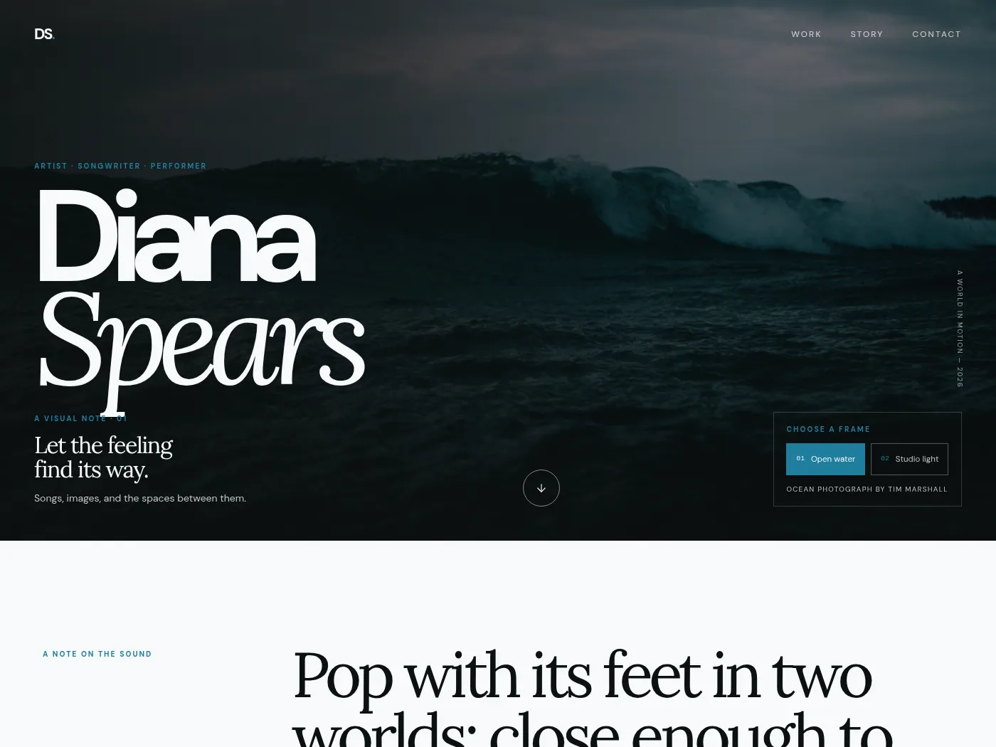 Diana Spears Portfolio