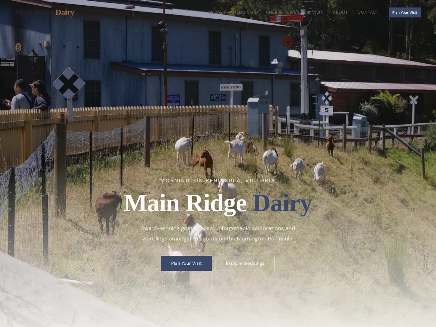 Main Ridge Dairy Site