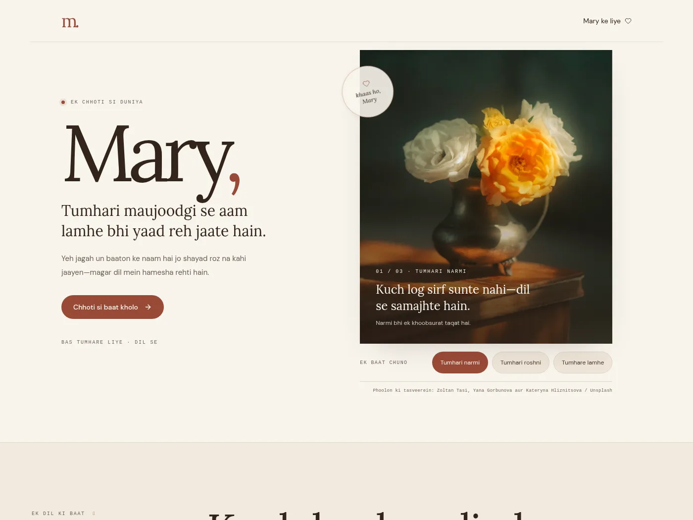 Mary's Special Site