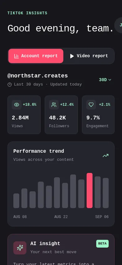 TikTok Insights Mobile