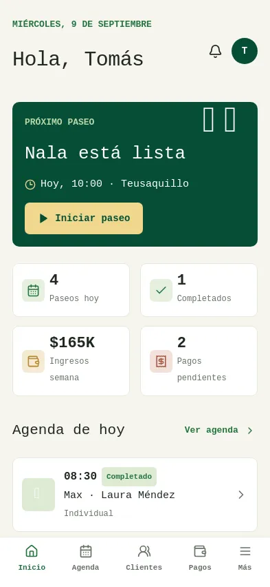 Tomás Paseos Caninos