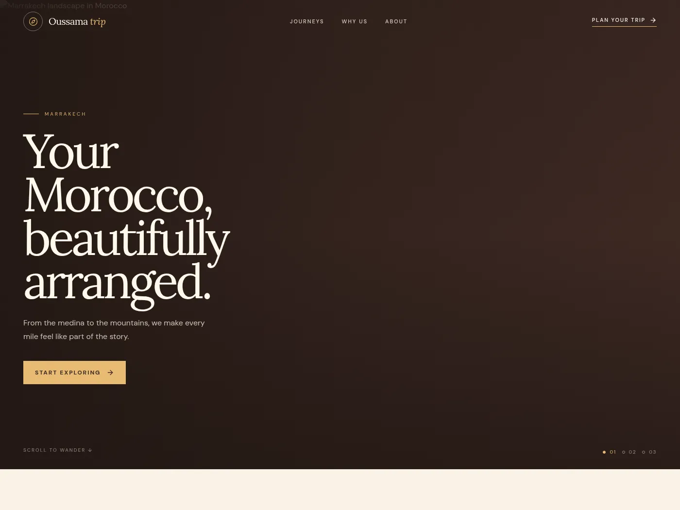 Oussama Trip Website