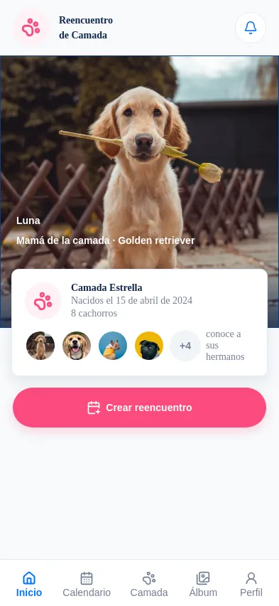 Reencuentro de Camada