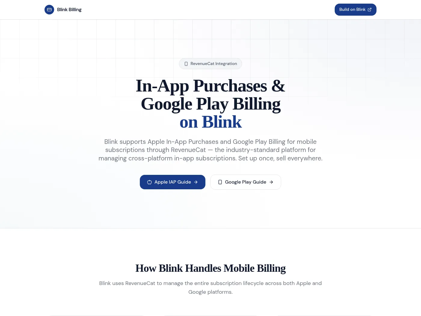 Blink Billing Info Portal