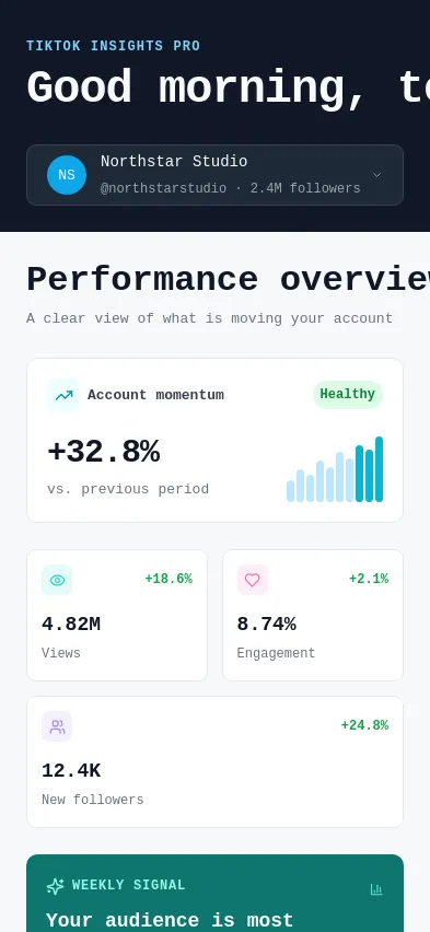 TikTok Insights Pro