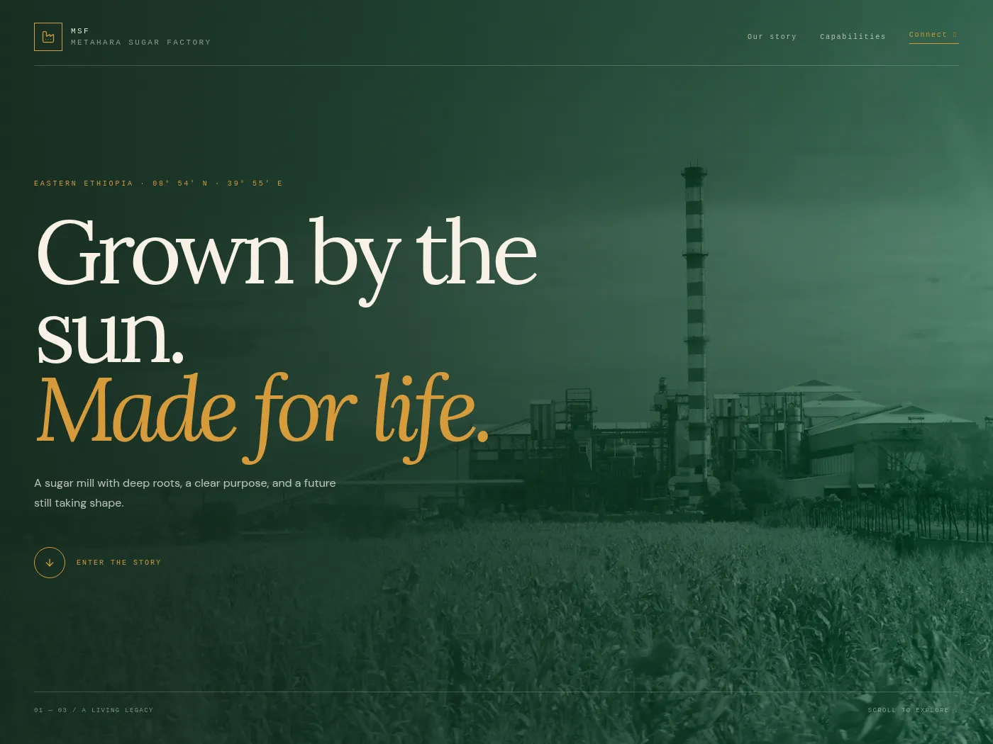 Metahara Sugar Factory Site