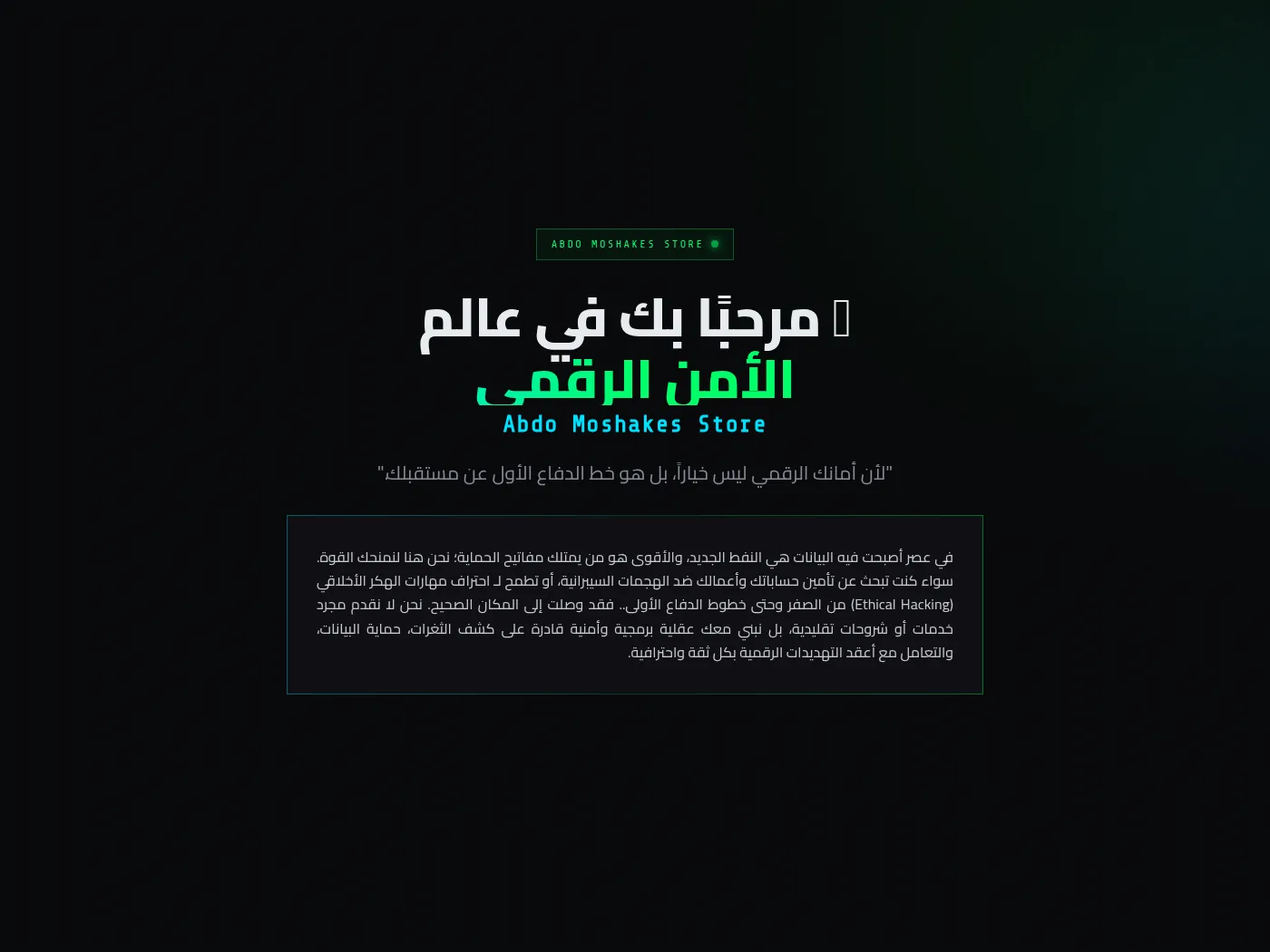 Abdo Moshakes Portfolio