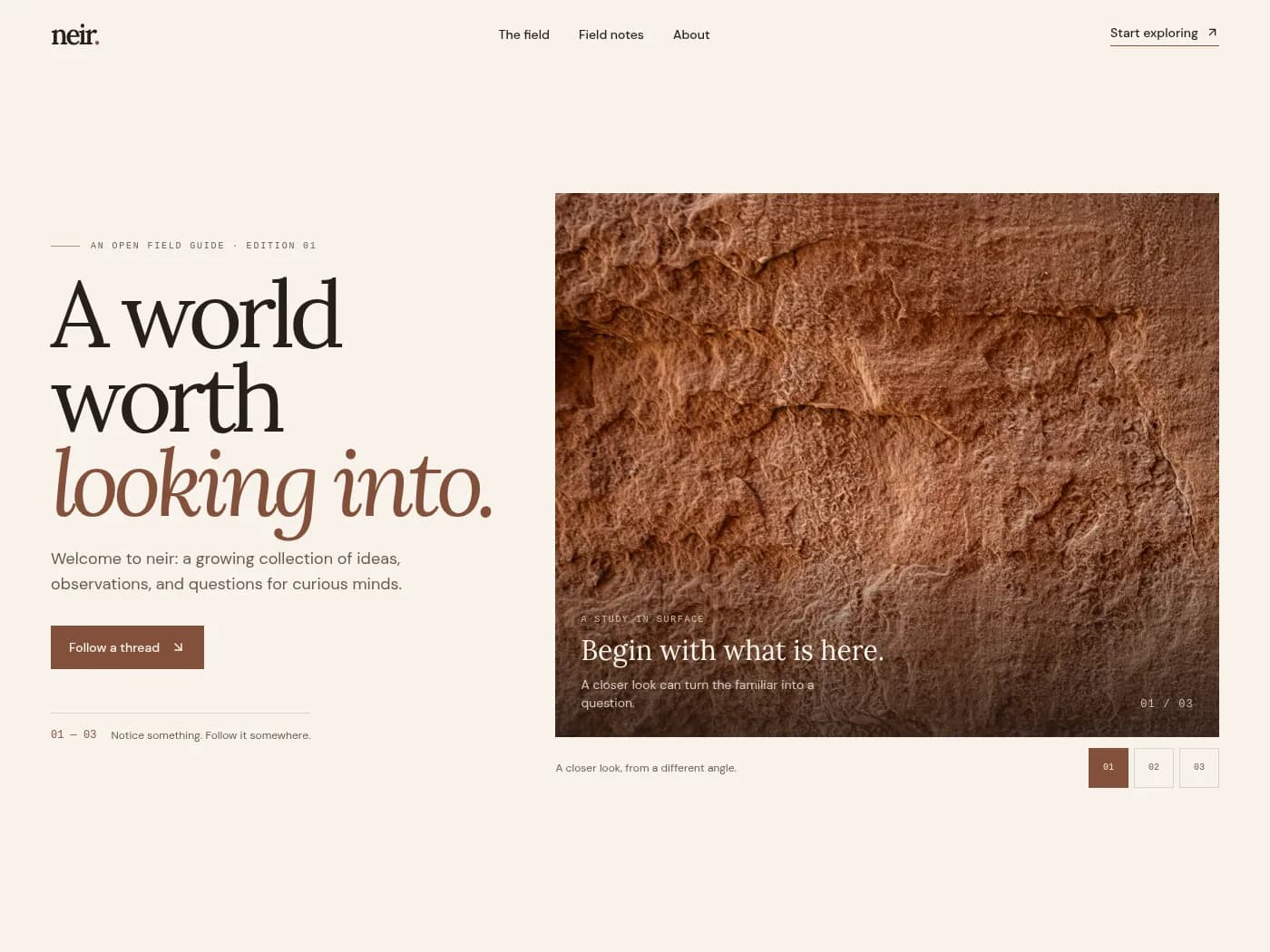 Neir Discovery