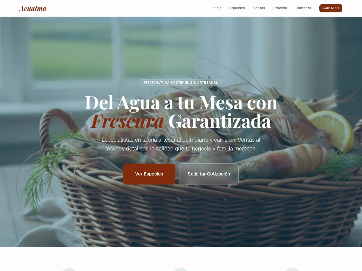 Acualma Web