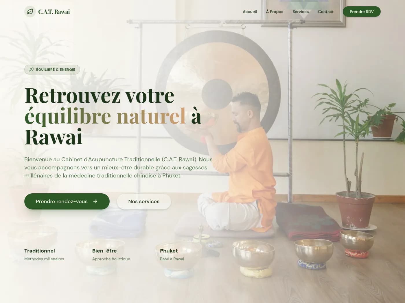 Acupuncture Wellness Site