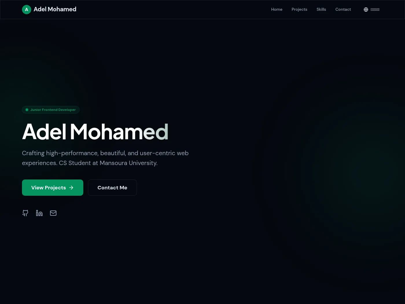 Adel Mohamed Portfolio